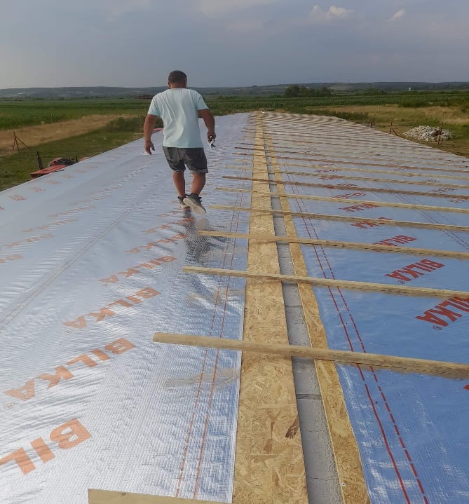 Paws2Rescue Sanctuary Update - Paws2Rescue